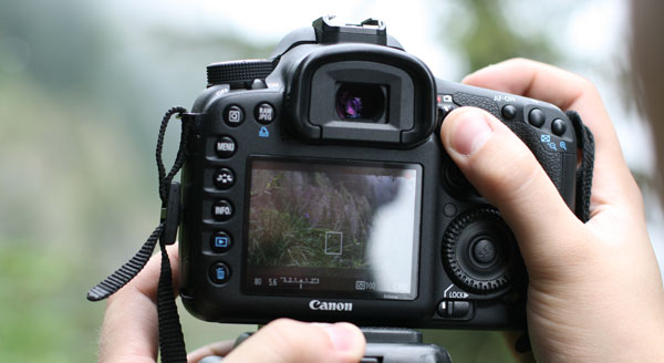 Was ist beim Kamera-Display wichtig? | foto-howto.de